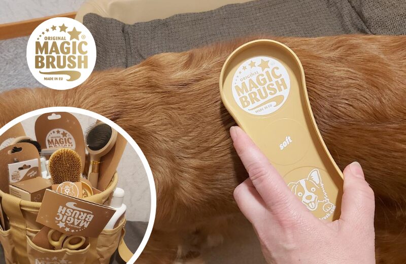 Erfahrungen mit der MagicBrush Pflegeserie - edogs