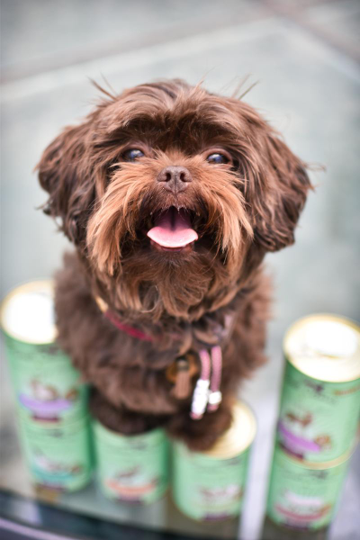 Erfahrungen mit dem Futter von Terra Canis - edogs