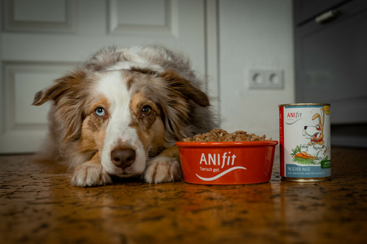 Anifit Nassfutter Erfahrungen | edogs Magazin