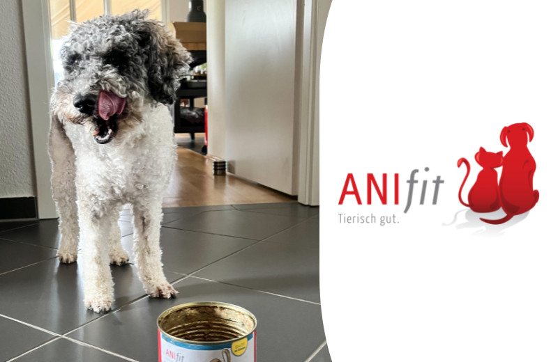 Anifit Nassfutter Erfahrungen | edogs Magazin