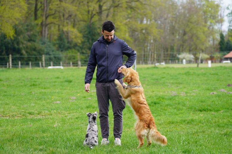 Dem Hund das Anspringen abgewöhnen I edogs Magazin