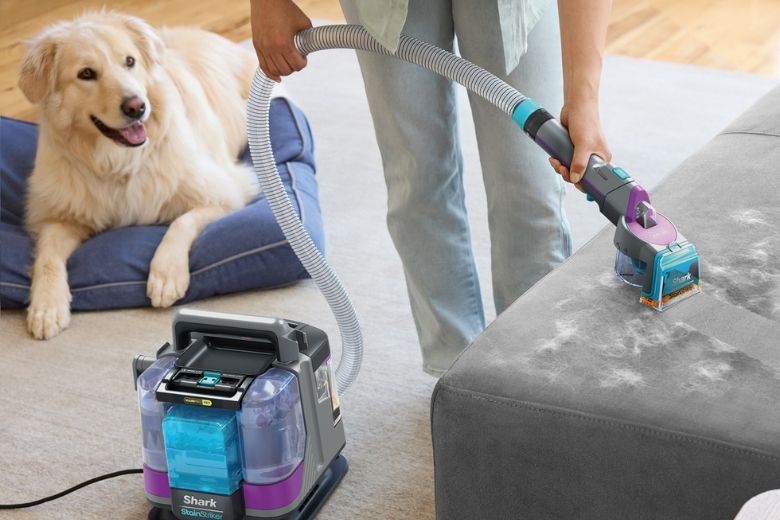 Hundehaare Entfernen Teppich