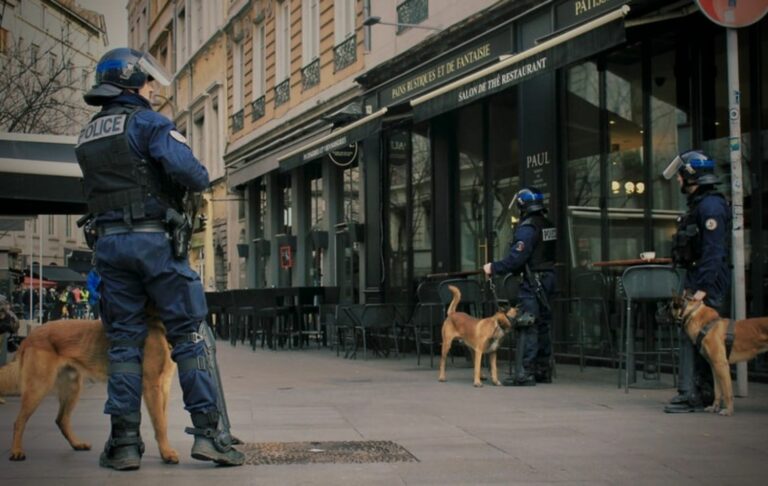 Polizeihunde - Von der Ausbildung bis hin zur Rente - edogs