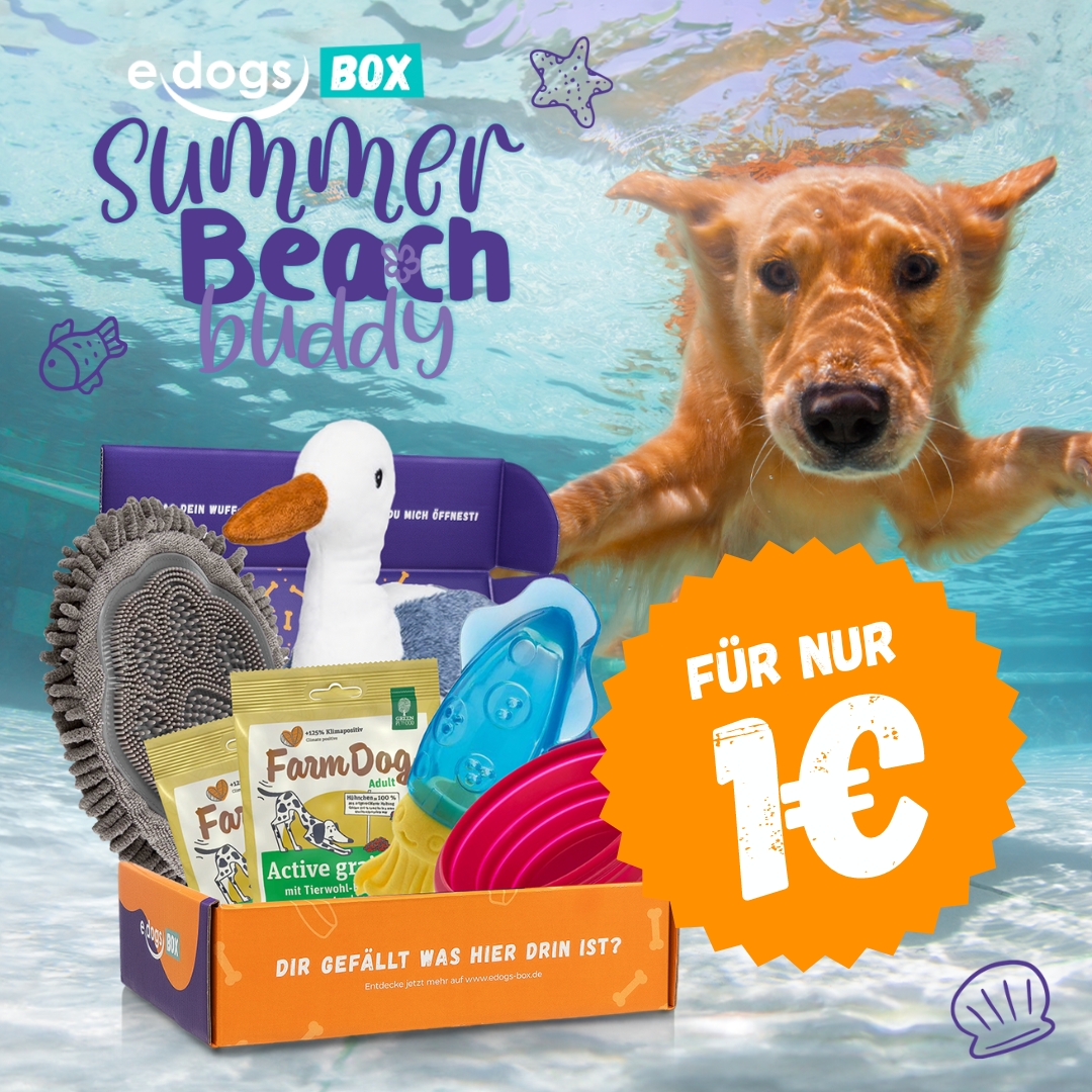 Hundetraining - Seite 4 von 8 - edogs