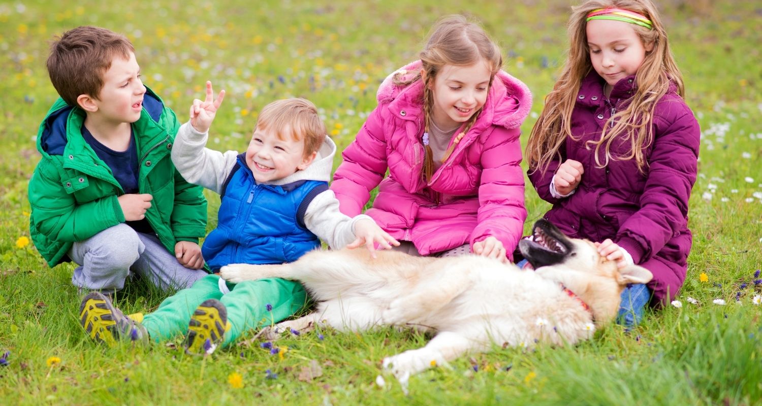 Kinderfreundliche Hunderassen: Hunde für Kinder | edogs Magazin