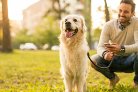 Kinderfreundliche Hunderassen: Hunde für Kinder | edogs Magazin
